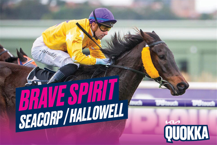 The Kia Quokka Runner Profile: Brave Spirit | Racing and Sports