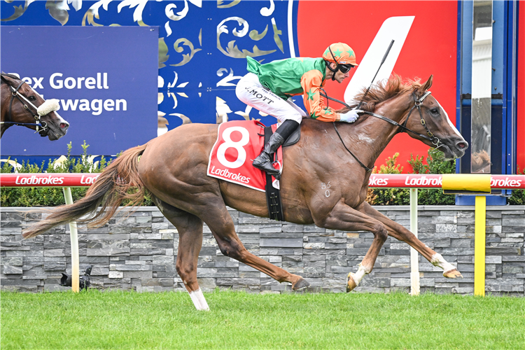 Capricorn Star Wins Geelong Racing Club Community Cup Bm70 Handicap ...