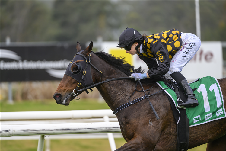 Castillian Wins River 949Fm Bundamba Plate: Post Race Trainer And ...