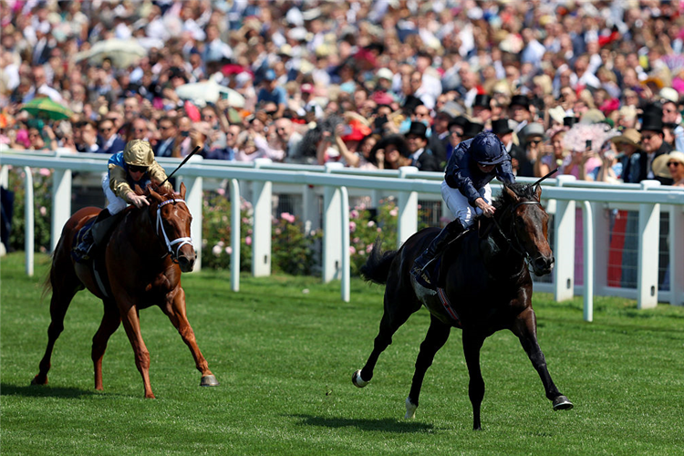 Charles Darwin Makes Winning Start On Road Back To Royal Ascot | Racing ...