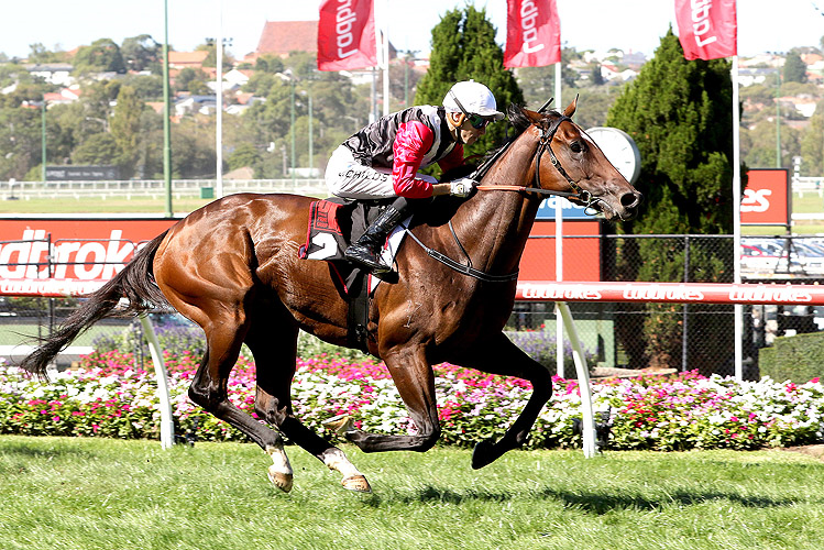 2026 Alexandra Stakes: Race History | Racing and Sports