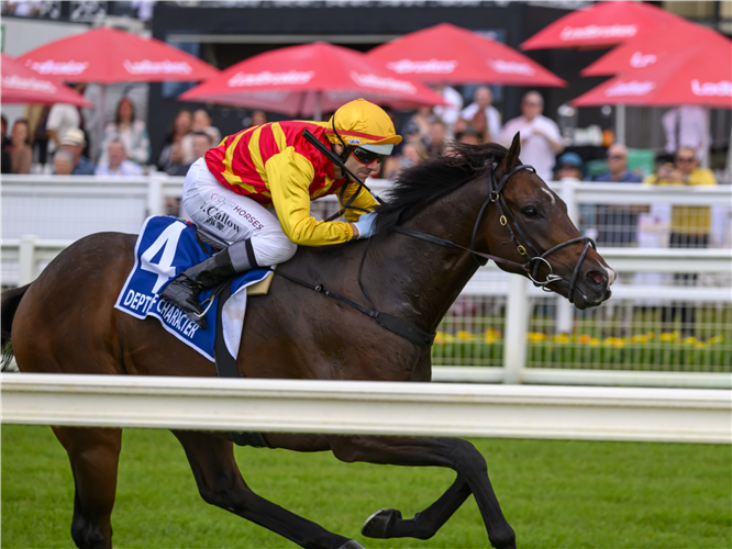 Depth Of Character Wins Group 2 Sky Racing Queensland Guineas: Post ...