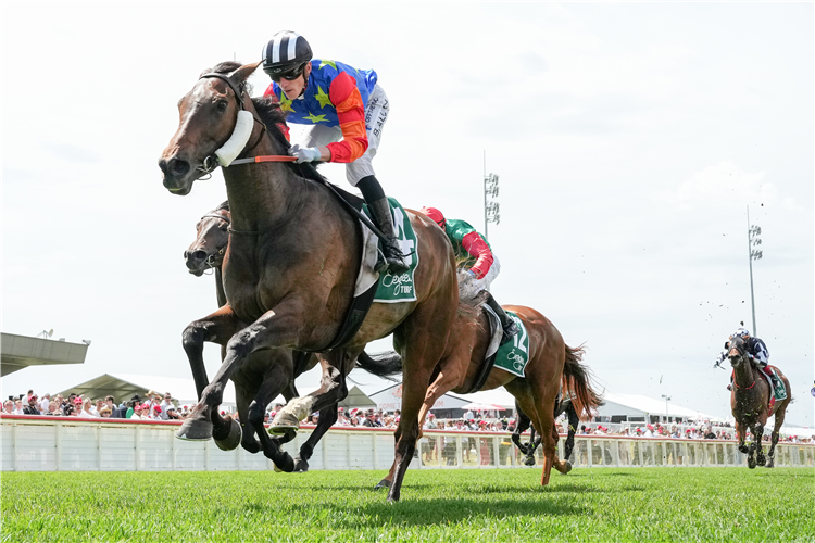 Electric Impulse Wins Evergreen Turf David Bourke Memorial: Post Race ...