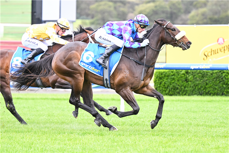 Yeomans And Shinn Combine For Special Win | Sky Racing World | Sky ...