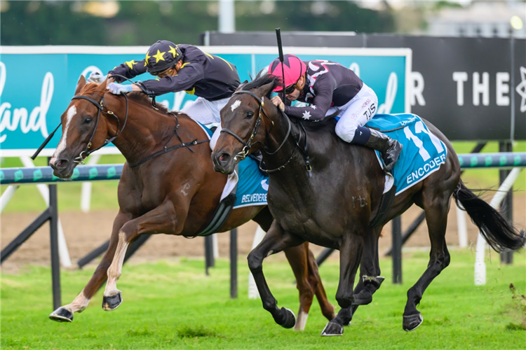 Encoder Wins Queensland Magic Millions Subzero: Post Race Trainer And ...