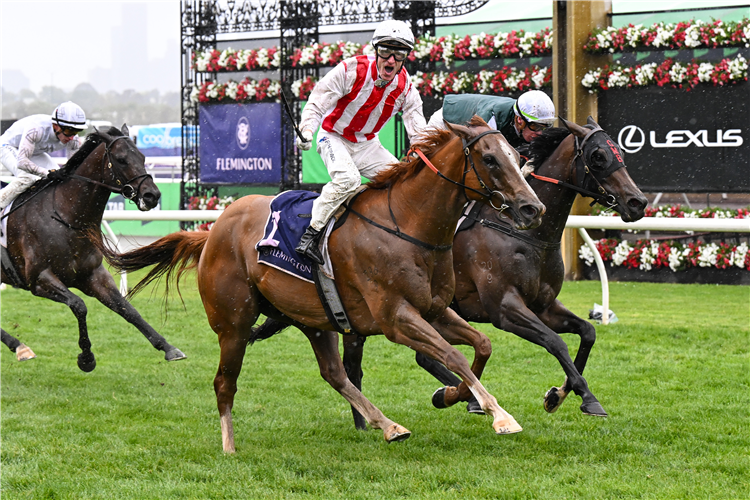 Giga Kick Wins The Champions Sprint: Post Race Trainer And Jockey ...