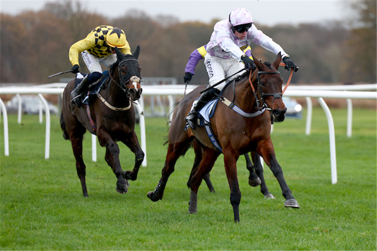 Golden Ace Takes Dramatic Fighting Fifth | Sky Racing World | Sky ...