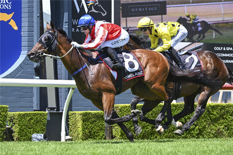 Jason Witham's Wyong Picks - Tuesday, 11 March | Sky Racing World | Sky ...