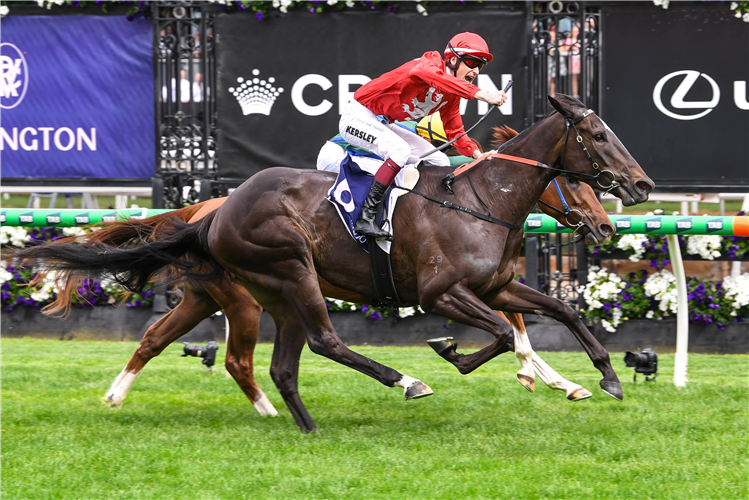 Guerite Wins The Melbourne Cup Carnival Country Final: Post Race ...
