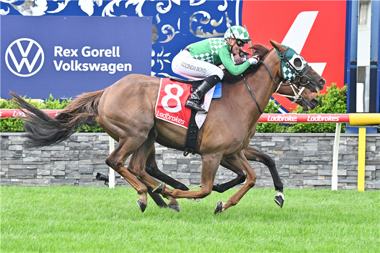 Haaland Wins Scaada Environmental Bm70 Handicap: Post Race Trainer And ...