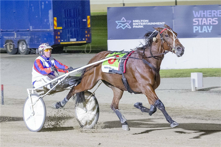 Queensland Beckons For Harry After Return To Winning Form | Rsn ...