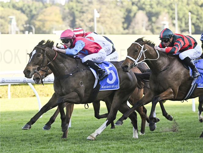 Headwall Wins Group 3 Kia Ora Concorde Stakes: Post Race Trainer And ...