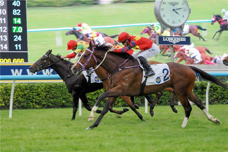 Hong Lok Golf Steps Up For Fiercely Competitive January Cup At Happy ...