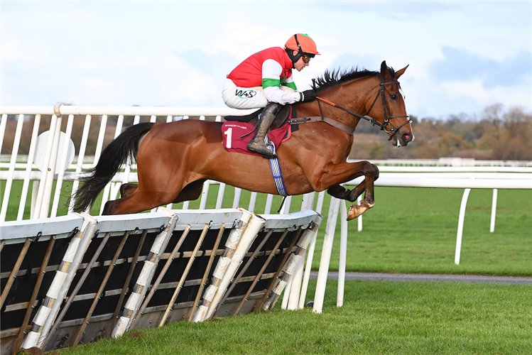 Idaho Sun Shines Brightest In Formby | Sky Racing World | Sky Racing World