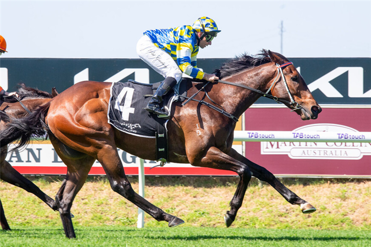 Carbery Keen To Get Back On Joker | Racing and Sports