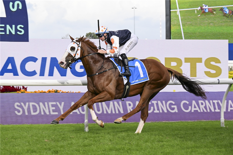 Just Folk Wins Group 3 Racing and Sports Doncaster Prelude: Post Race ...