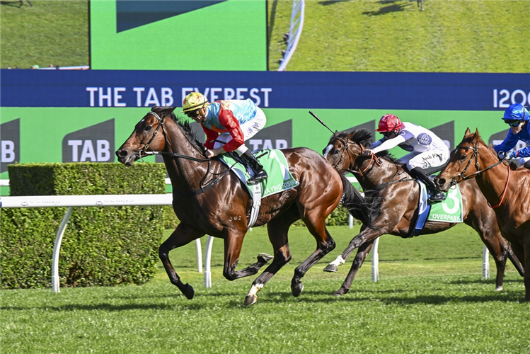 Ka Ying Rising Set For Stall One Debut In Hong Kong Sprint | Racing and ...