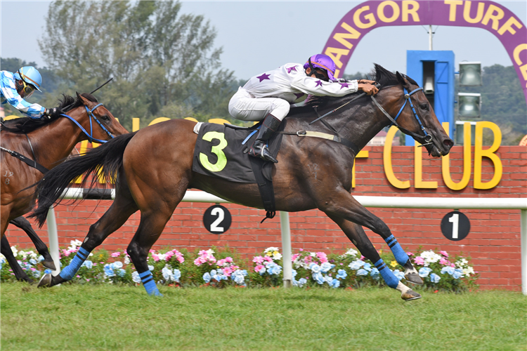 Selangor Race Preview: Sunday - 23rd February 2025 | Racing and Sports