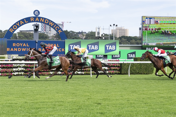 Lady Brilliant In Light Fingers Stakes Return | Sky Racing World | Sky ...