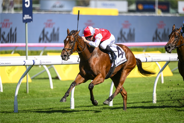 2026 Jhb Carr Stakes: Race History | Racing and Sports