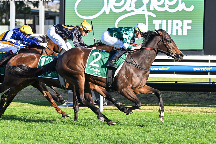 Magic Time Wins Group 3 Evergreen Turf Cockram Stakes: Post Race ...