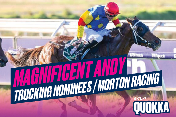 The Kia Quokka 2025 Runner Profile: Magnificent Andy | Sky Racing World ...