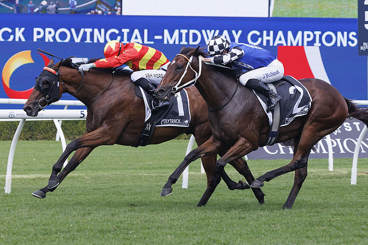 Hawkesbury Preview: Thursday, 26th March, 2026 | Racing and Sports