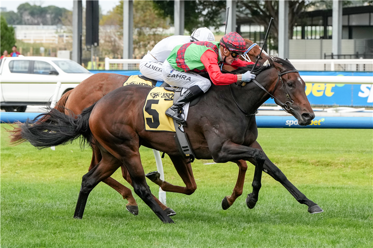 Merrigold Wins The Vobis Gold Distaff: Post Race Trainer And Jockey ...