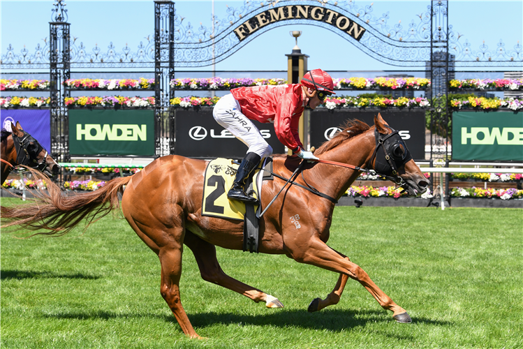 Midwest Wins Vobis Gold Comet: Post Race Trainer And Jockey Quotes ...