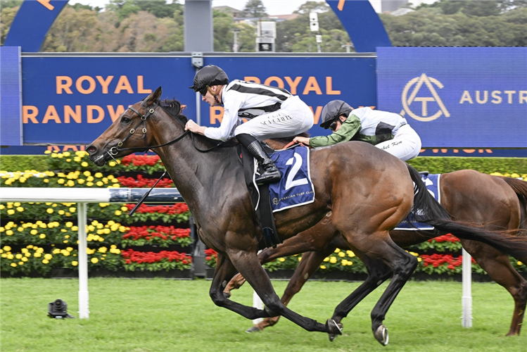 Jason Witham's Randwick Picks - Friday, May 23 | Racing and Sports