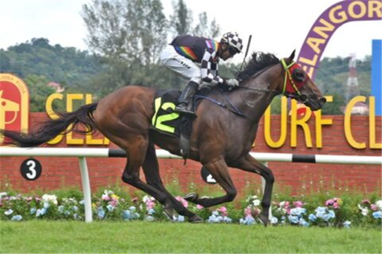 Noah Khan Scores Spectacular Upset | Sky Racing World | Sky Racing World