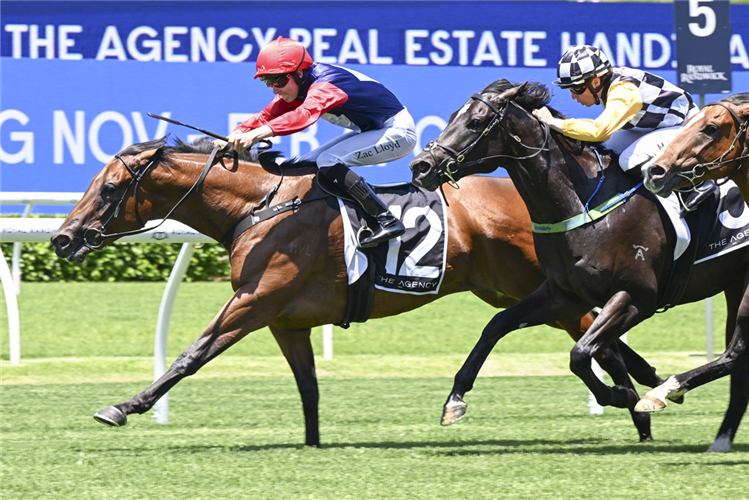 Thompson Lets Secret Out At Randwick | Racing and Sports
