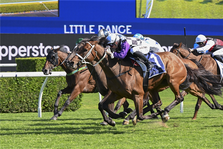 Osipenko Wins Little Dance: Post Race Trainer And Jockey Quotes | Sky ...