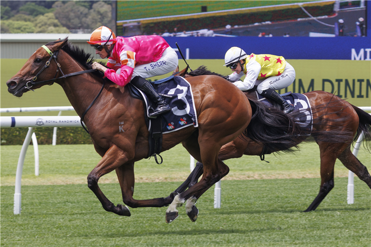 Hawkesbury News: 27th January, 2026 | Sky Racing World | Sky Racing World