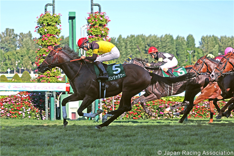 Kohei Matsuyama Hopes Panja Tower Can Deliver Another Group 1 | Racing ...