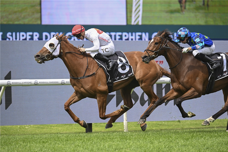 Piggyback Wins Group 3 Asahi Super Dry Colin Stephen Quality: Post Race ...