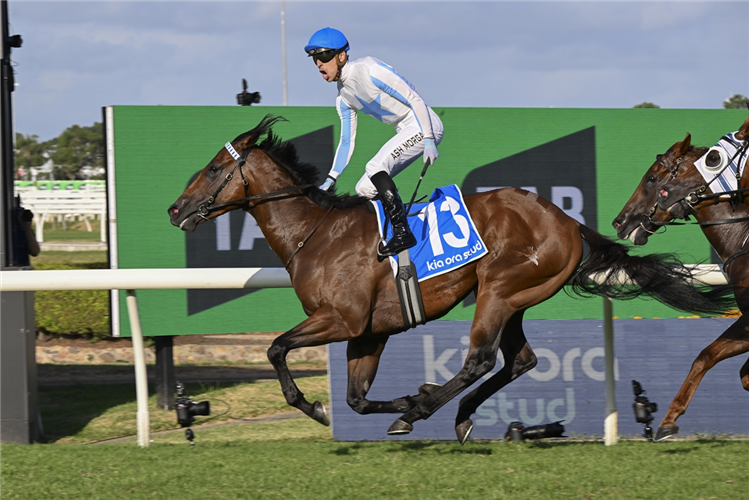 Private Harry Wins Group 1 Kia Ora Galaxy: Post Race Trainer And Jockey ...