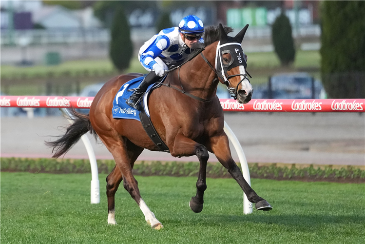 Red Hot Nicc Out To Stretch Winning Sequence | Racing and Sports