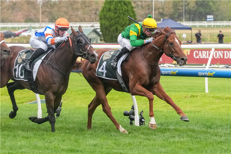 Regal Zeus Wins The Vobis Gold Sprint: Post Race Trainer And Jockey ...
