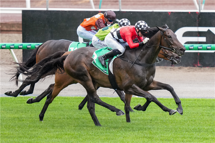Revelare Wins The Tab We’Re On: Post Race Trainer And Jockey Quotes ...