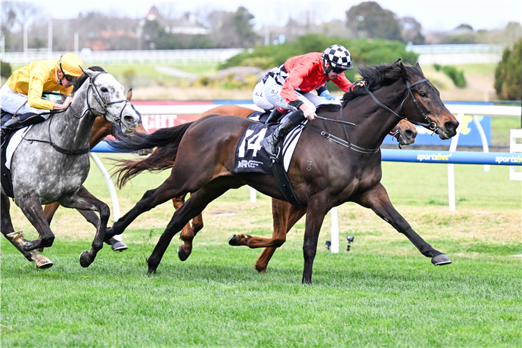 Revelare Wins Remembering Mikaela Claridge: Post Race Trainer And ...