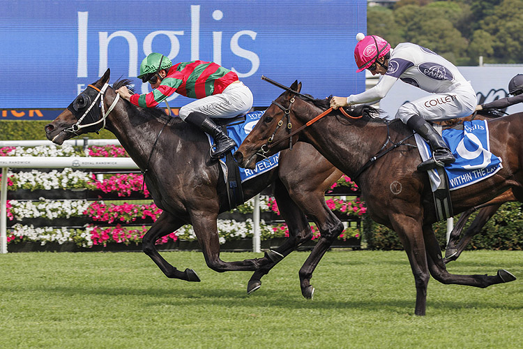 Kris Lees With The Latest On Rivellino | Racing and Sports