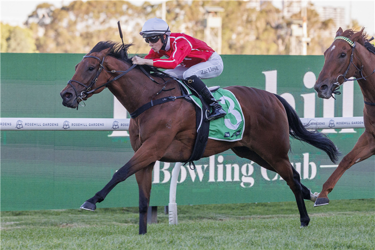 Randwick Kensington Selections; Trial Watch And Blackbook Report ...