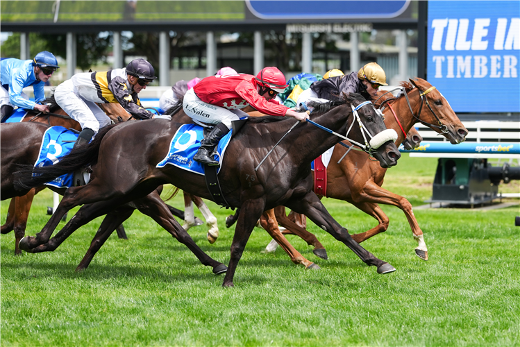 Rumbled Again Wins The Summoned Stakes: Post Race Trainer And Jockey ...
