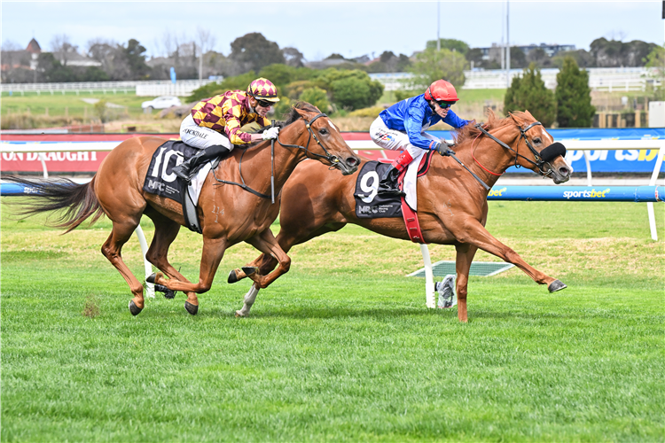 Shadhavar Wins The Mrc Member Spring Rewards Handicap: Post Race ...