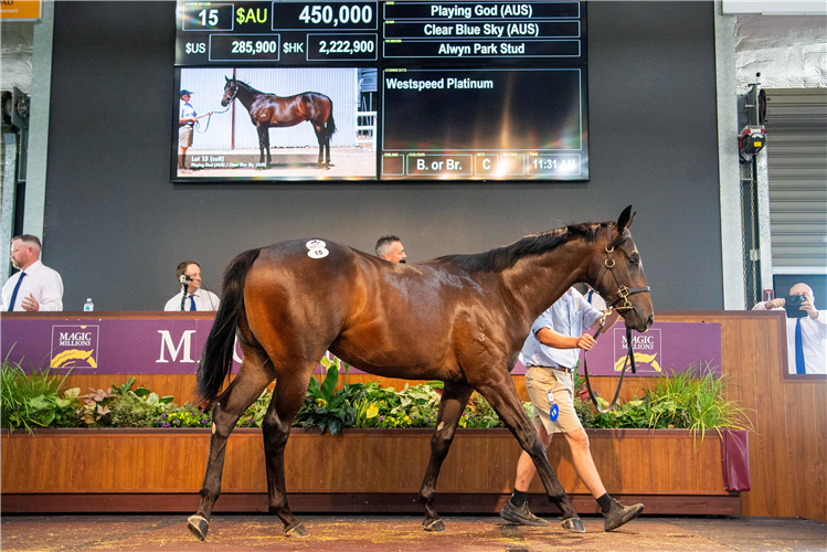 Playing God Colt Sets Wa Record | Racing and Sports