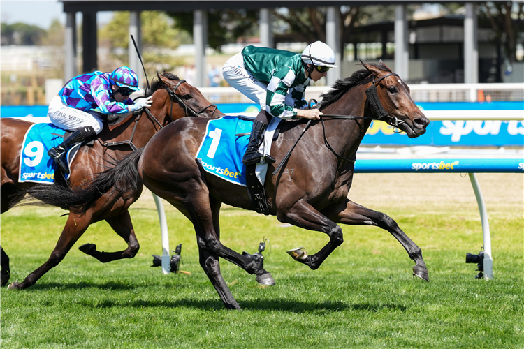 Treasurethe Moment Wins Group 2 Sportsbet Angus Armanasco Stakes: Post ...