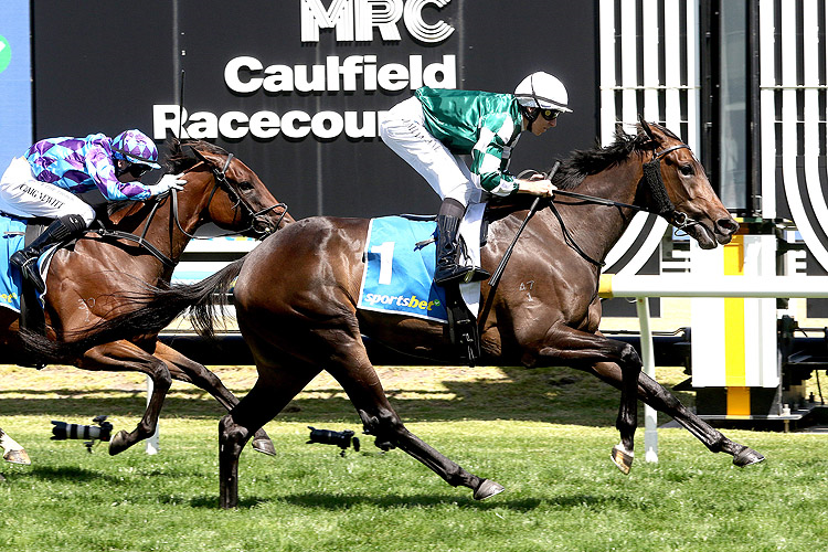 Vin Cox Reflects On A Special Saturday For Yulong | Racing and Sports