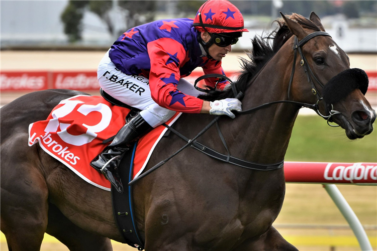 John Luttrell Is Confident That Just A Needs Can Win The Tas Pink Cup ...