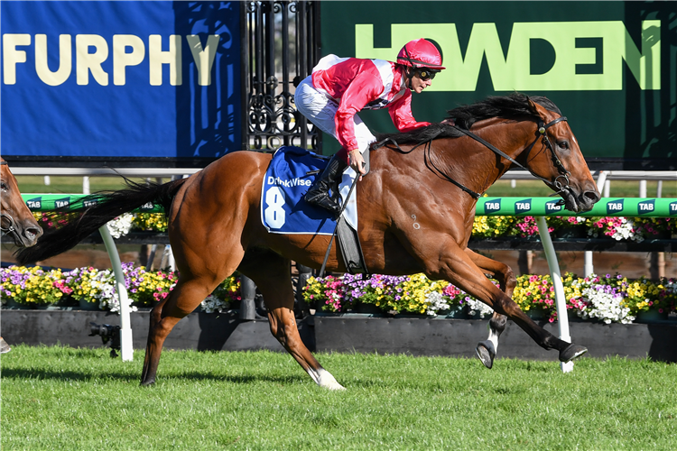 Verdad Wins Furphy Trophy: Post Race Trainer And Jockey Quotes | Racing ...